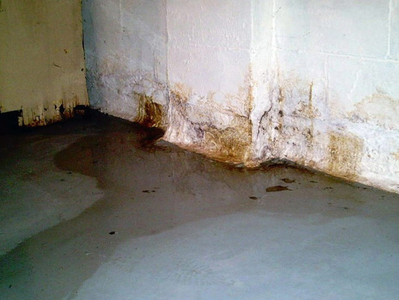 Things To Know About Basement Moisture Control | Blog